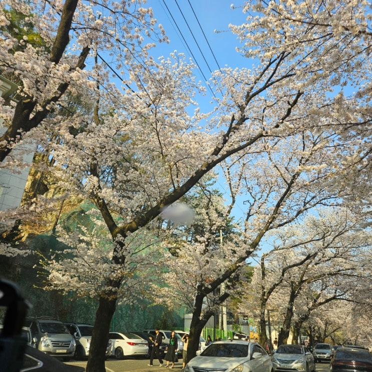 [루비레이저 1회차] 루비레이저 시술 후 3주 지난 후기(효과 못 봄) : 네이버 블로그