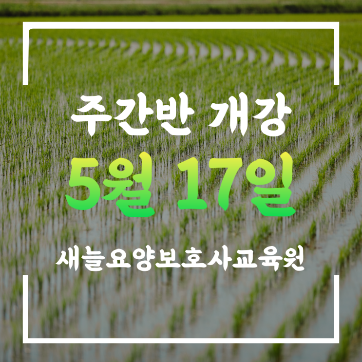 117기 주간반 개강5월 17일국비일반반 개강 새늘 요양보호사 자격증반 평택안중공도안성 네이버 블로그