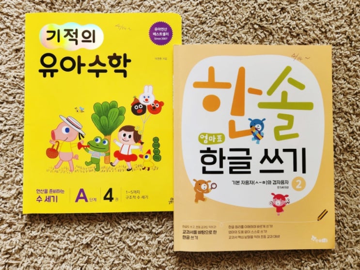17년생 7살 아이와 엄마표 한글 수학 학습 영재 개발 프로그램 입학 준비 한글 한솔 엄마표 한글 쓰기 수학 나무야