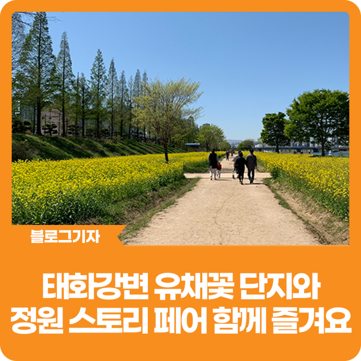 블로그 기자 태화강변 유채꽃 단지와 정원 스토리 페어 함께 즐겨요 네이버 블로그