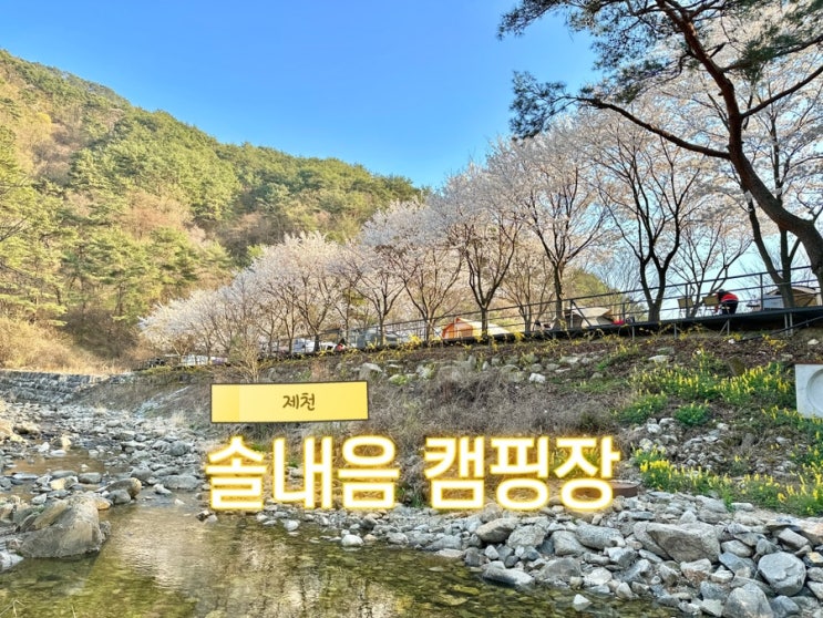 제천 솔내음 캠핑장 벚꽃 명당 사이트 추천 L 계곡 키즈 캠핑장 L 의림지 파크랜드 맛집 네이버 블로그