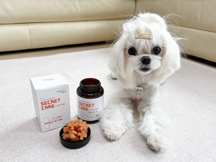 애견 영양제 멍비상 강아지 오메가3 노령견 영영제로 추천 네이버 블로그