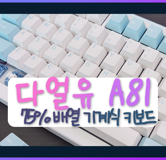 다얼유 키보드 A81 가스켓 기계식 키보드 리뷰 : 네이버 블로그