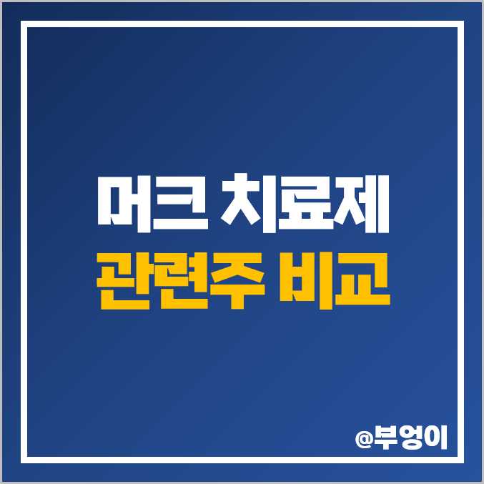 국내 머크 치료제 관련주 비교 파미셀 삼성바이오로직스 Hk이노엔 알테오젠 주식 주가 Per Pbr 네이버 블로그