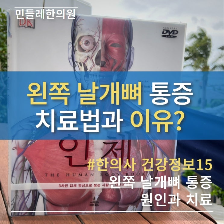 왼쪽 날개뼈 통증 이유가 뭘까 원인과 치료법 네이버 블로그