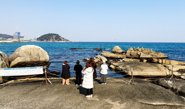 양양 가볼만한곳 휴휴암 물고기 황어떼 물치항과 물치해수욕장 네이버 블로그