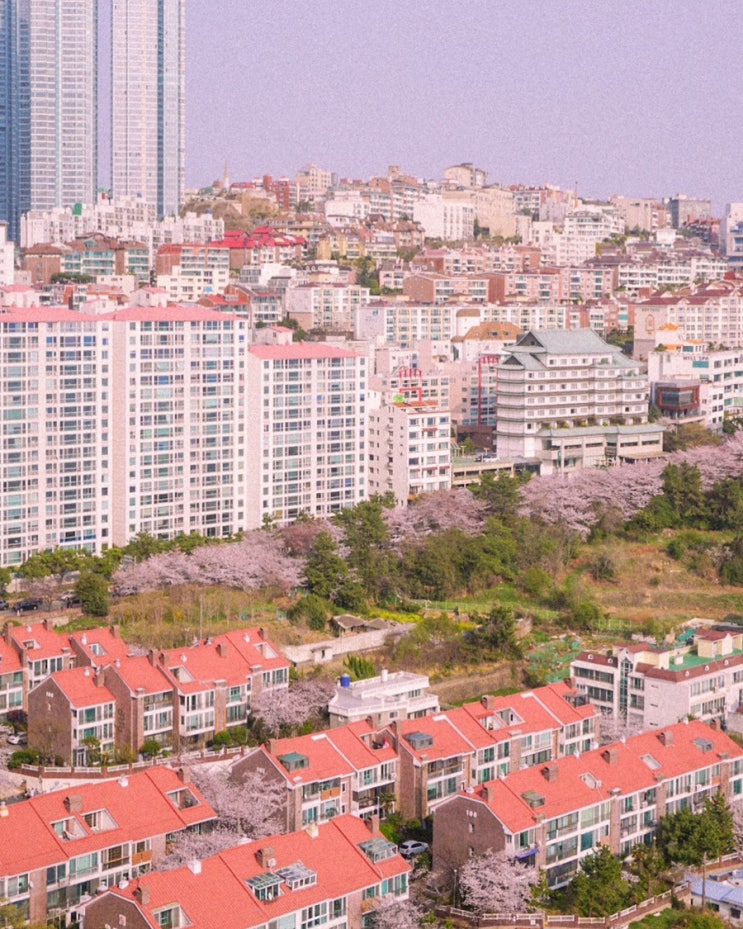 시그니엘 부산 조식 가격부터 라운지까지 미포오션뷰 호텔 후기 💟 네이버 블로그