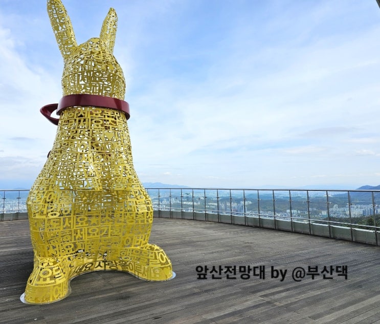 대구 여행코스 앞산 케이블카 달토끼 전망대 주차 편도요금 걸어서 내려오기 네이버 블로그