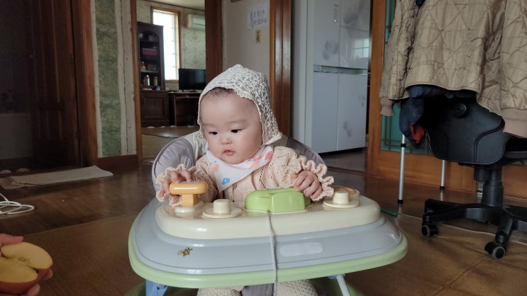 아기 보행기 사용시기 보행기 단점 및 장점 타는시기 확인 네이버 블로그