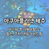 아기랑 제주여행 꼭 가봐야할 제주 아쿠아플라넷 할인 주차 추천코스 기념품샵 네이버 블로그