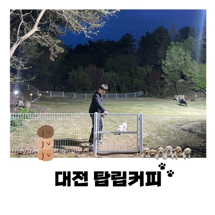 대전유성카페 넓은 실내와 애견운동장 : 탑립커피 : 네이버 블로그