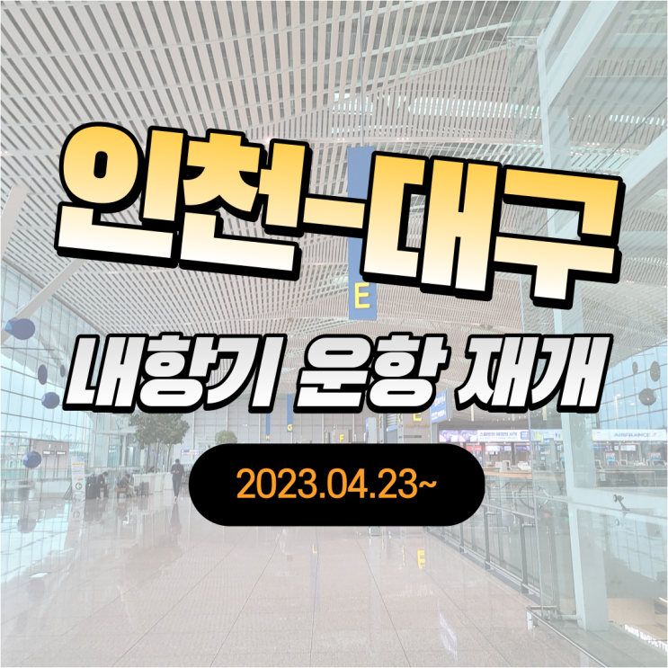 인천-대구 노선 내항기 운항 재개 : 네이버 블로그