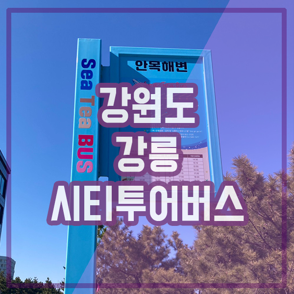 강릉 시티 투어버스 타고 도깨비 촬영지 Bts 앨범 촬영지 가보기 네이버 블로그