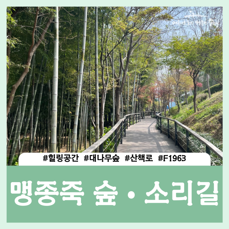 수영구 대나무숲 산책하기 좋은 맹종죽 숲 소리길 네이버 블로그