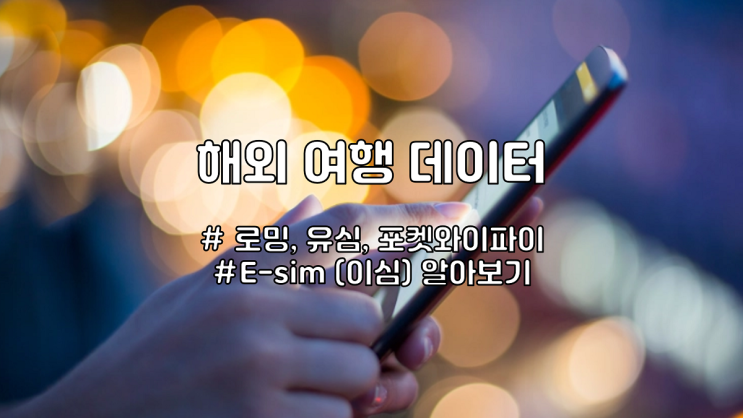 해외여행 데이터 통신사 로밍 해외 유심 E Sim이심 포켓와이파이 라우터 장단점 비교 네이버 블로그