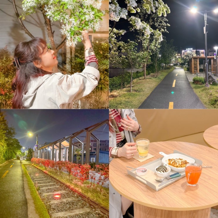 포항 가볼만한곳 ‘포항철길숲 저녁에 산책하기 좋은 곳 네이버 블로그