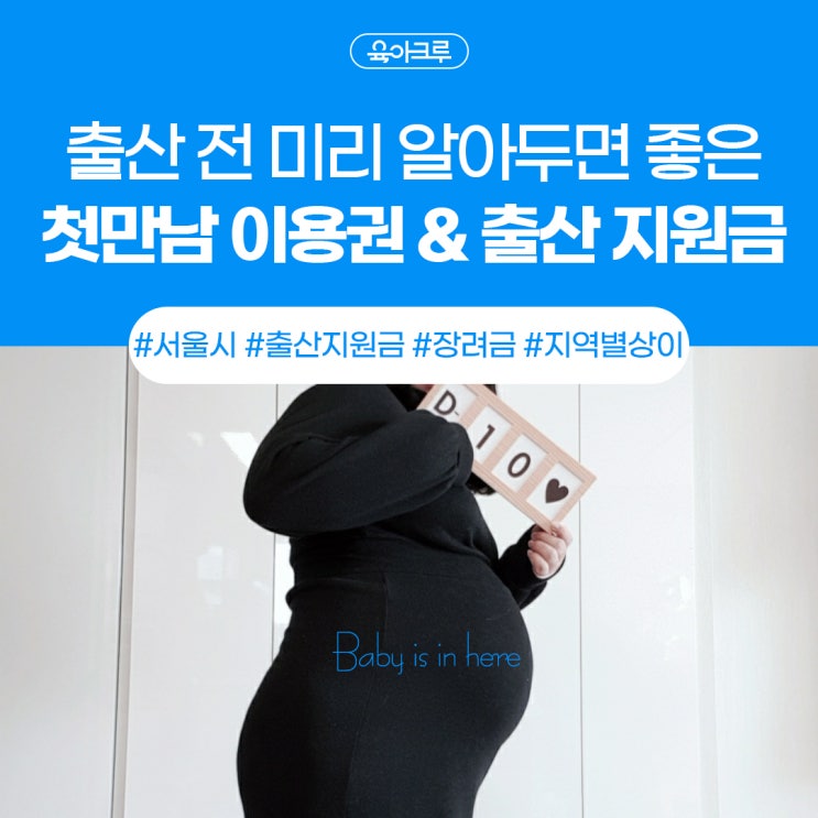 임신출산육아 정보 💗우리동네 출산지원금은 얼마💗 서울시 정부 출산 축하금 및 첫만남 이용권 지역별 금액 확인 신청방법