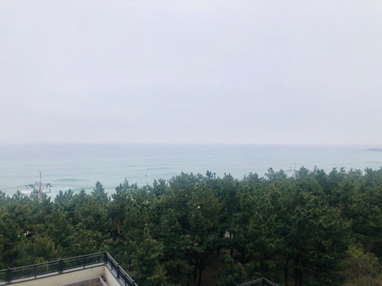 이른 봄날의 강릉여행 감자적 본부 감자 옹심이 엔드투앤드카페 커피커퍼 박물관 강릉 해변 네이버 블로그