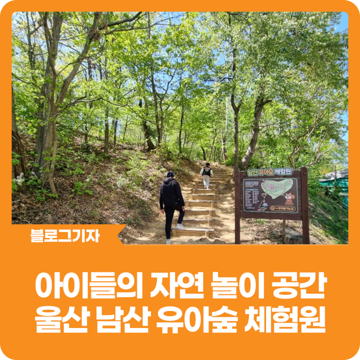 블로그 기자 아이들의 자연 놀이 공간 울산 남산 유아숲 체험원 네이버 블로그