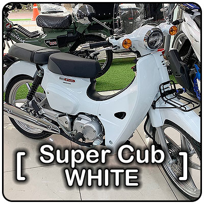 [송파점] 2023 혼다 슈퍼커브 / 슈퍼커브 110 / Super Cub 110 / 슈퍼커브 화이트 / 슈퍼커브 윈드스크린 / 슈퍼커브 봉지걸이 / 텐덤 시트 / 혼다 ...