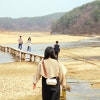 경북 영주 가볼만한곳 무섬마을 외나무다리 여행 네이버 블로그