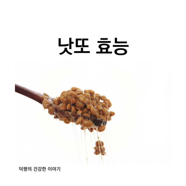 낫또 효능 및 부작용 And 나또칼로리 먹는법 네이버 블로그