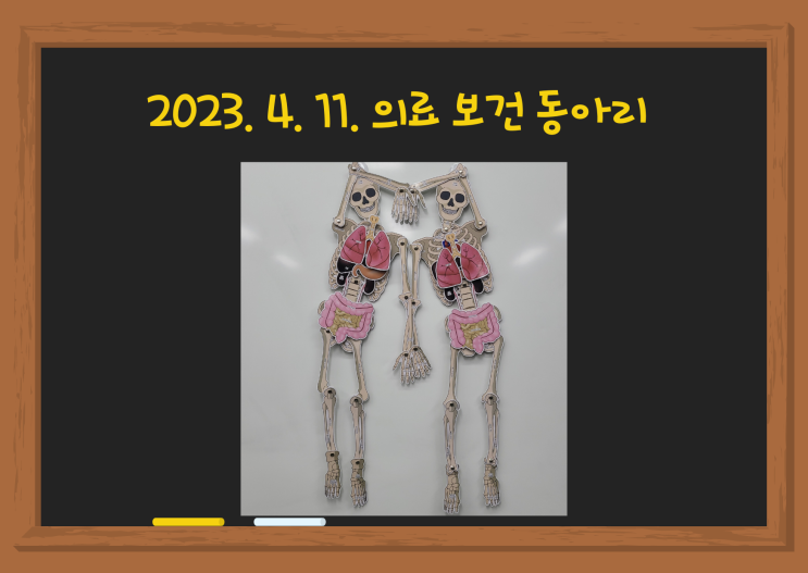고등학교 의료 보건 동아리 인체해부학 아주 가볍게 맛보기 인체 골격과 장기 모형 만들기 네이버 블로그