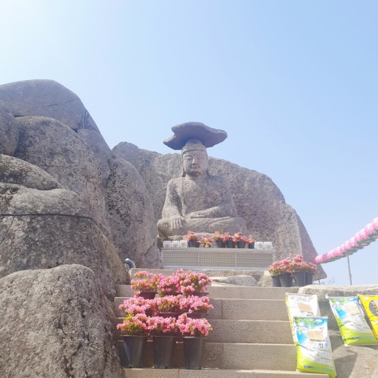 [일상] 대구 팔공산 갓바위 산행 : 네이버 블로그