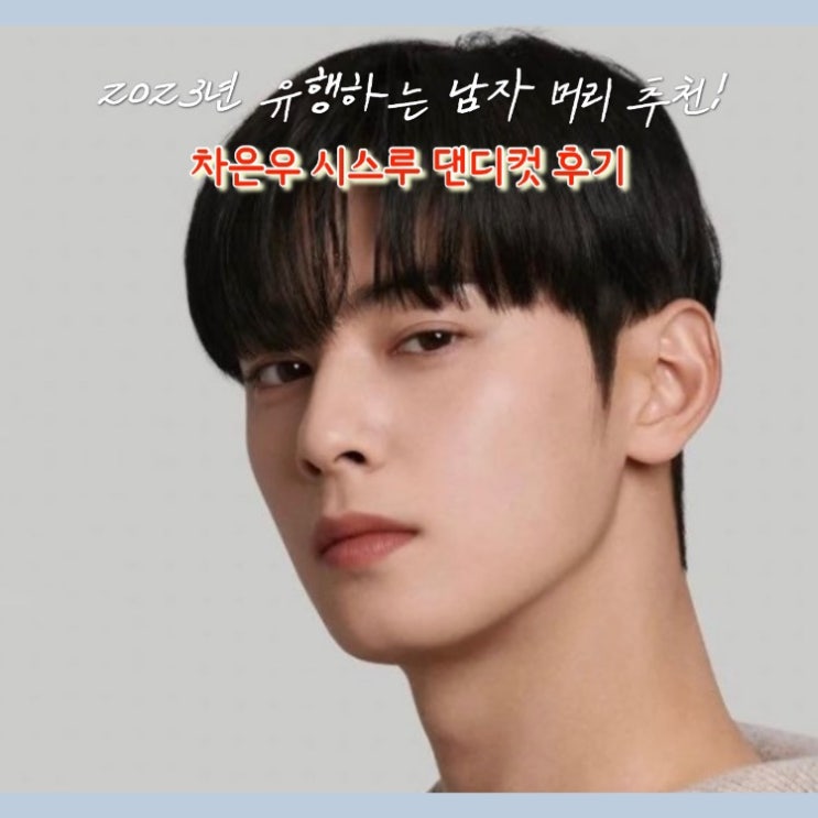 2023년 유행하는 남자 머리 추천 차은우 시스루 댄디컷 후기 에이바헤어 의정부역점 네이버 블로그