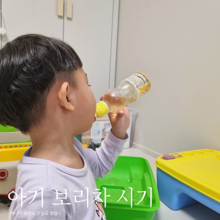 뽀로로 보리차 영양성분 아기 보리차 시기 보관방법 네이버 블로그