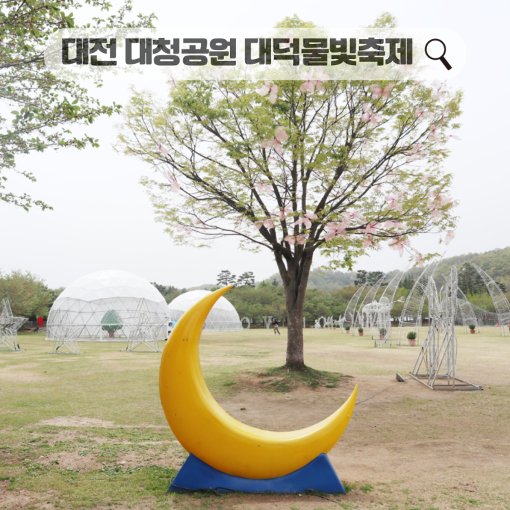 대청호 축제 대전 금강로하스 대청공원 대덕물빛축제 겹벚꽃 명소 네이버 블로그