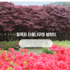 전라도 힐링 화순 철쭉 꽃나들이 수만리생태숲 공원 무등산 국립공원 근교 네이버 블로그