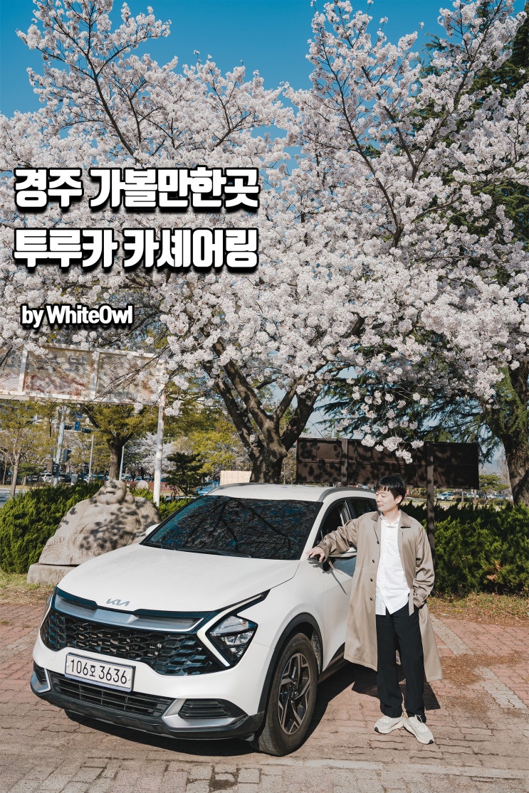 경주 렌트카 봄향기 따라 투루카(Turu CAR), 카쉐어링 타고 봄꽃여행 : 네이버 블로그