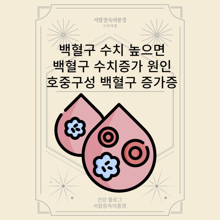 백혈구 수치 높으면 발생하는 질환 백혈구 수치 증가 원인 호중구성 백혈구 증가증 백혈구 수치 네이버 블로그