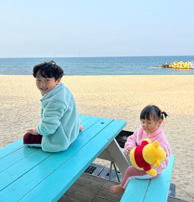 강릉 아기랑 숙소 오션뷰 강릉민박집 청동애견펜션 강릉중앙시장 강릉역옹막 네이버 블로그
