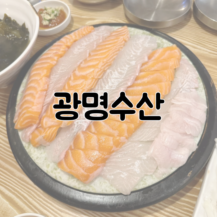 서울성신여대 성신여대 신선한 횟집 추천 광명수산 회 물회 맛집 네이버 블로그