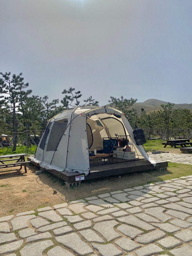 망상오토캠핑장 8번 동해 오션뷰 캠핑장 추천 예약 And 시설 후기 네이버 블로그
