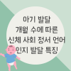 아기 성장 발달표 개월 수에 따른 신체 사회 정서 언어 인지 발달 네이버 블로그