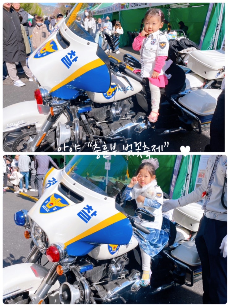 육아일기 D1574~5 아이와 가볼만한곳 주차정보 2023년 안녕 봄 안양 충훈부 벚꽃축제”♥ 네이버 블로그
