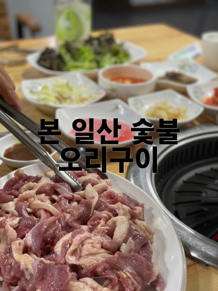 일산 본일산숯불오리구이 일산오리고기 오리고기맛집 일산시장맛집 일산오리고기맛집 일산역맛집 일산맛집 네이버 블로그