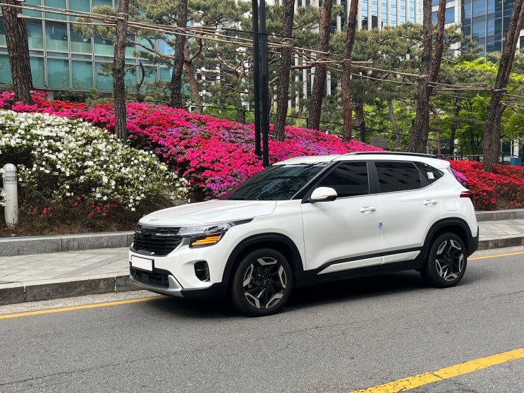 카쉐어링 투루카(Turu CAR) 더 뉴 셀토스와 함께한 봄 나들이 : 네이버 블로그