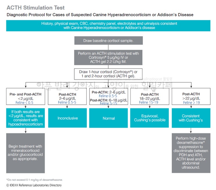 ACTH자극검사, 내래성ACTH _ 부신피질 쿠싱증후군 애디슨병 진단 01_ 호르몬검사 01 : 네이버 블로그
