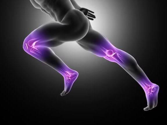 콤프케어 가자추출물 효능 관절 연골 관리한 방법 네이버 블로그