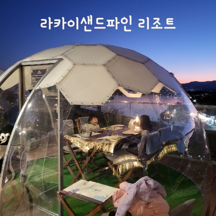 강릉 라카이샌드파인 리조트 동해바다와 경포호수뷰 강릉 숙소스튜디오 레이크 패밀리룸 네이버 블로그
