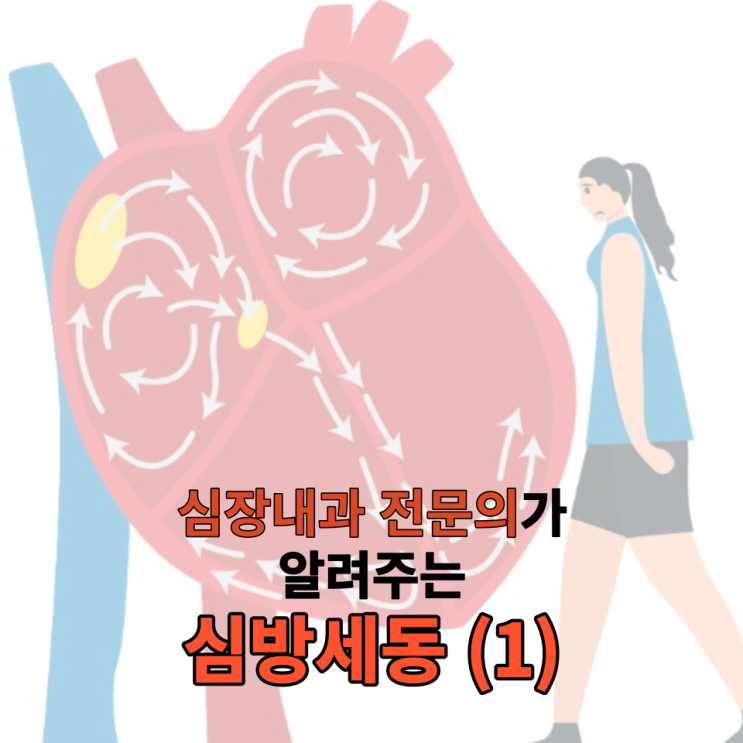 심장전문의가 알려주는 심방세동 원인증상진단중요성 네이버 블로그