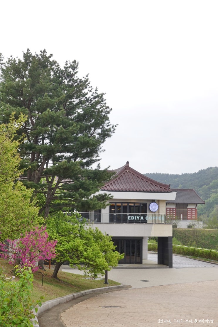 경주 박물관 카페 이디야커피 아이와 가기 좋은 카페 디저트 맛남 네이버 블로그