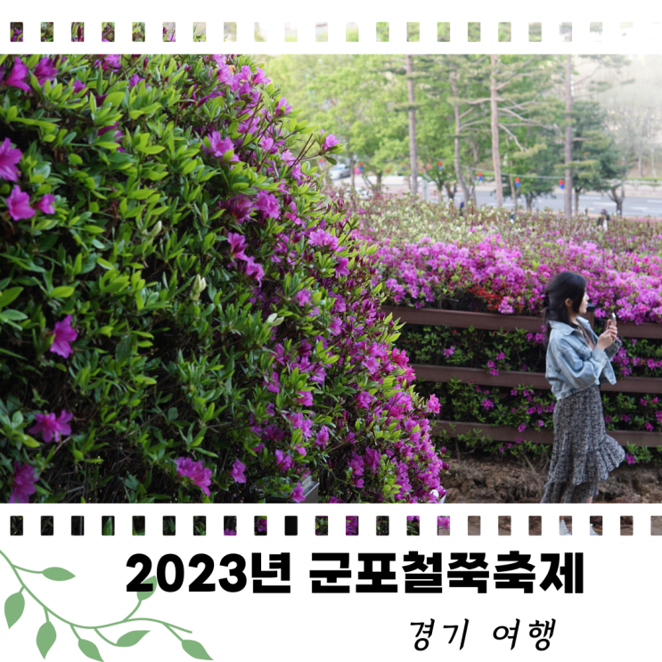 군포 철쭉축제 기본정보 기간 주차 군포 가볼만한곳 철쭉동산 개화 축하공연 홍진영경기도 꽃축제 네이버 블로그