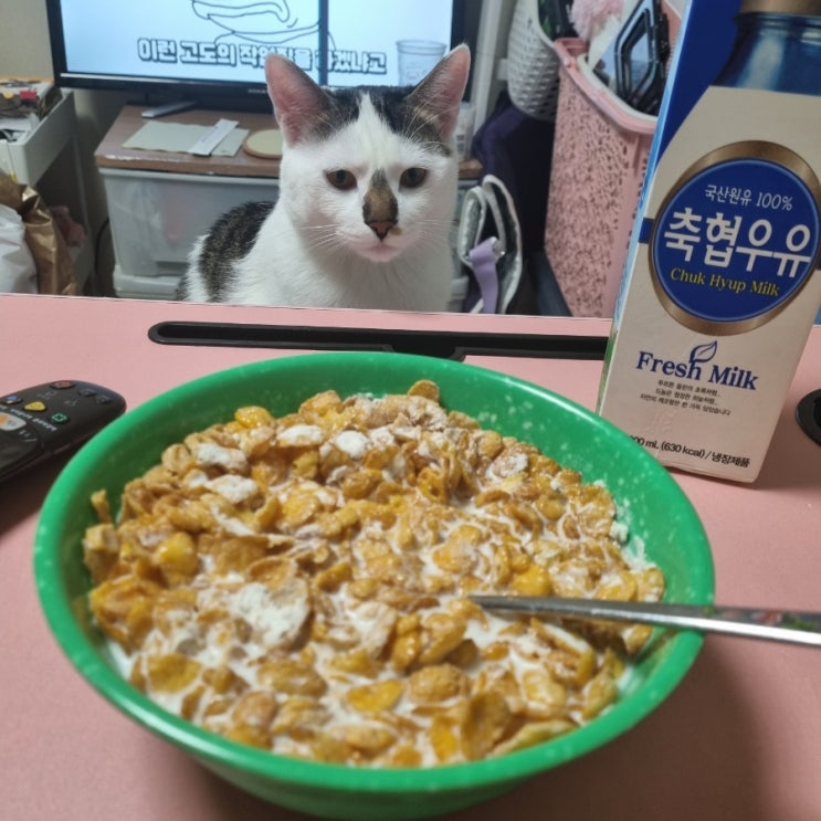 4월 18~19일 내이름은나답게 일기장 귀찮아 아무것도하기싫은날 그냥 그저그런날 : 네이버 블로그