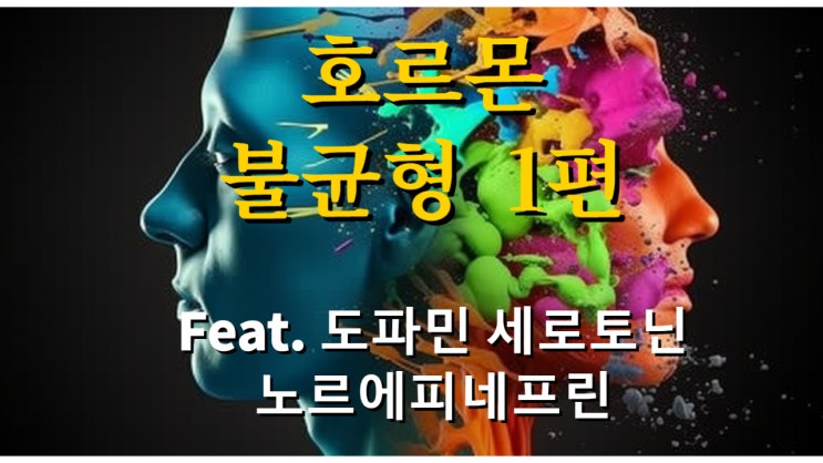호르몬 과잉 결핍 1편 도파민 세로토닌 노르에피네프린 네이버 블로그