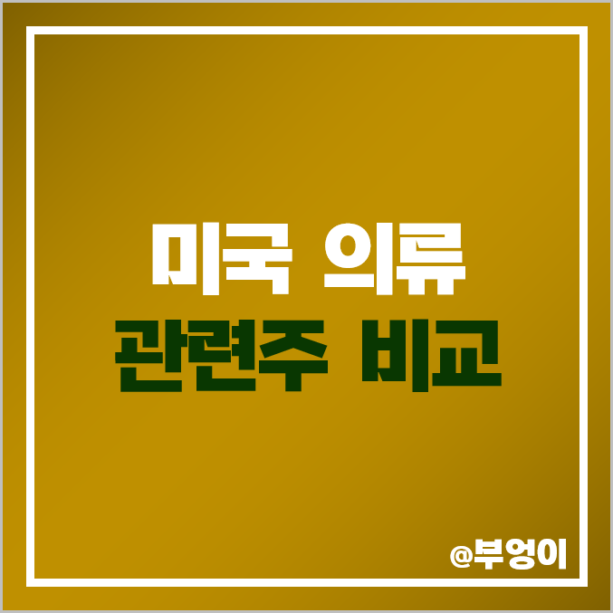 미국 의류 사업 및 소매 관련주 비교 패션 주식 주가 Per Pbr 배당금 매출액 시가총액 목표가 순위 네이버 블로그